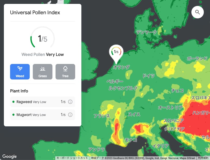 Air Quality API、Solar API、Pollen API：Google Maps Platformに新たに3つのAPIが登場!!